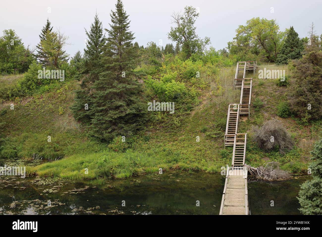 stairways lead the way from a bridge across a lake up a steep hillside ...