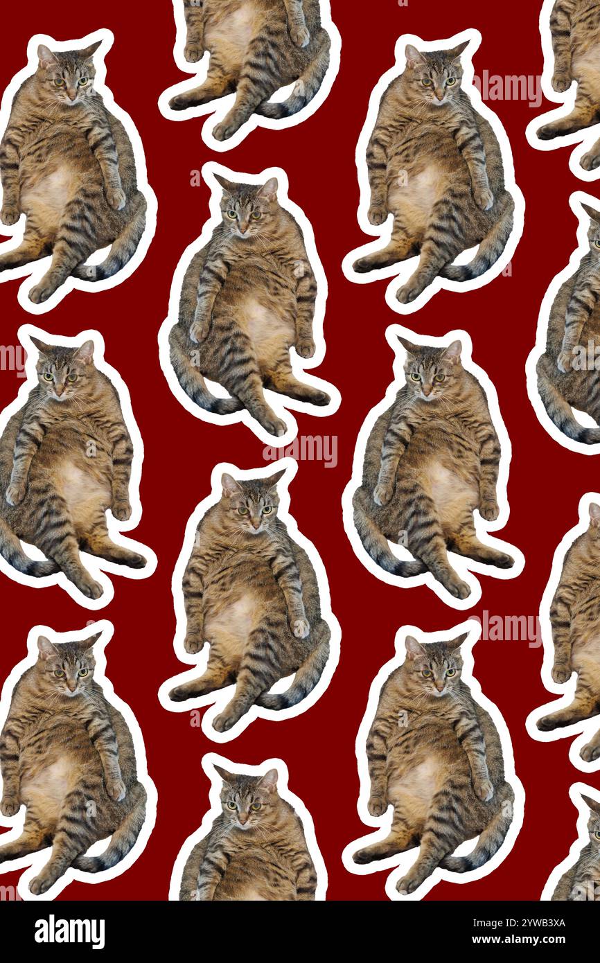 Collage cat Funny cat on red background. Seamless repeating pattern ...