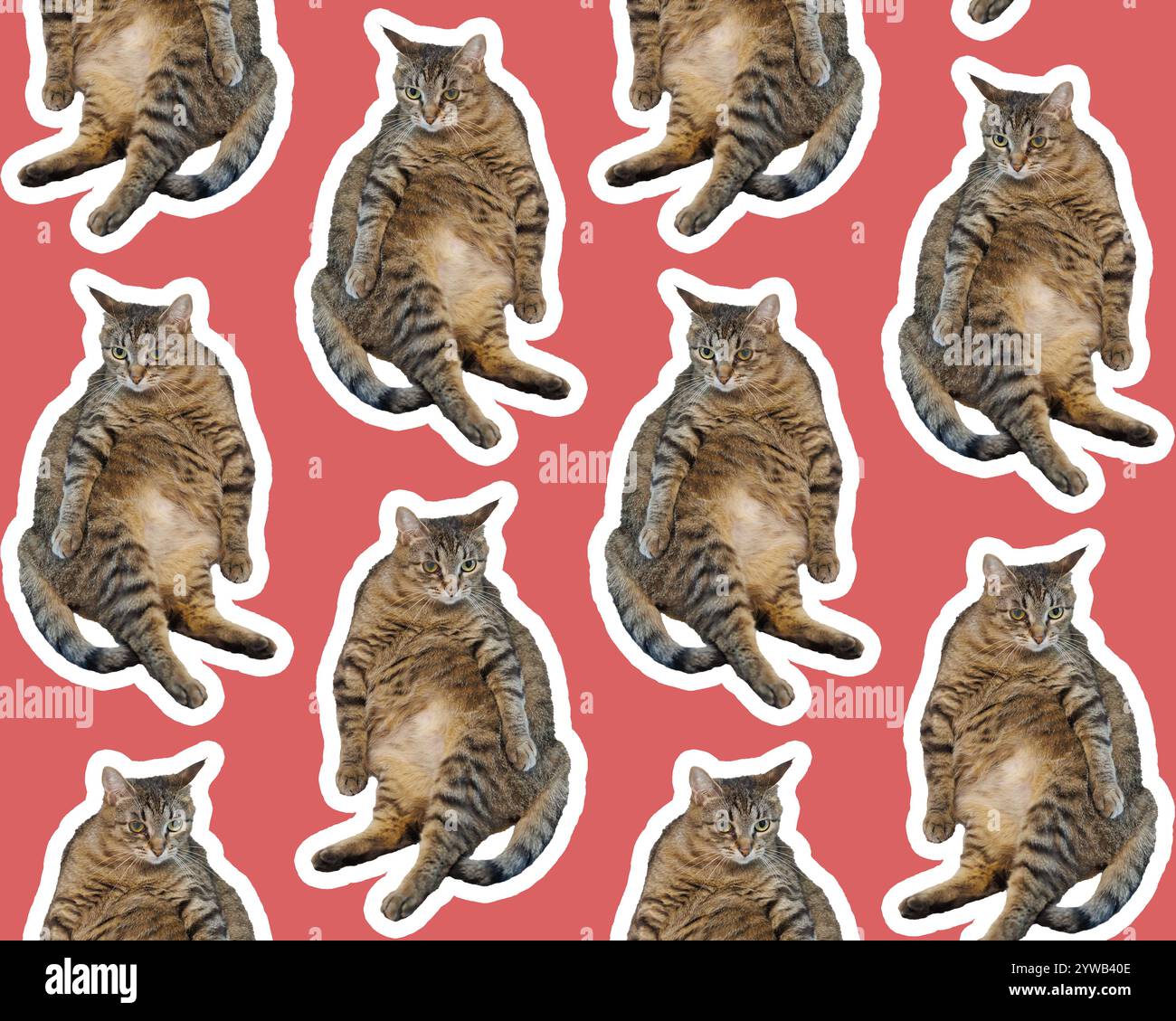 Collage cat Funny cat on red background. Seamless repeating pattern ...