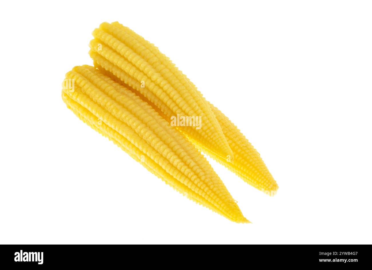 pickled corn isolated on white background Stock Photo - Alamy