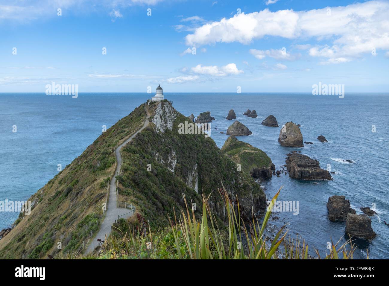 Nugget point beach hi-res stock photography and images - Alamy