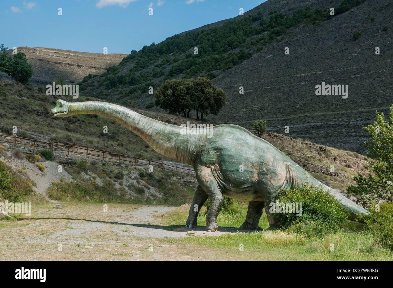 Real.size recreation model of Sauropod dinosaur made from fiberglass ...