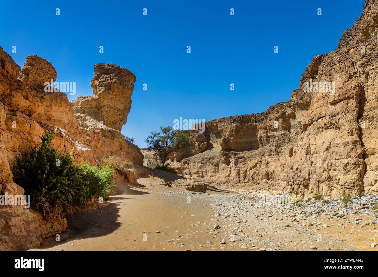 In the canyon of Sesriem, Namib Naukluft national park, Namibia scenic ...