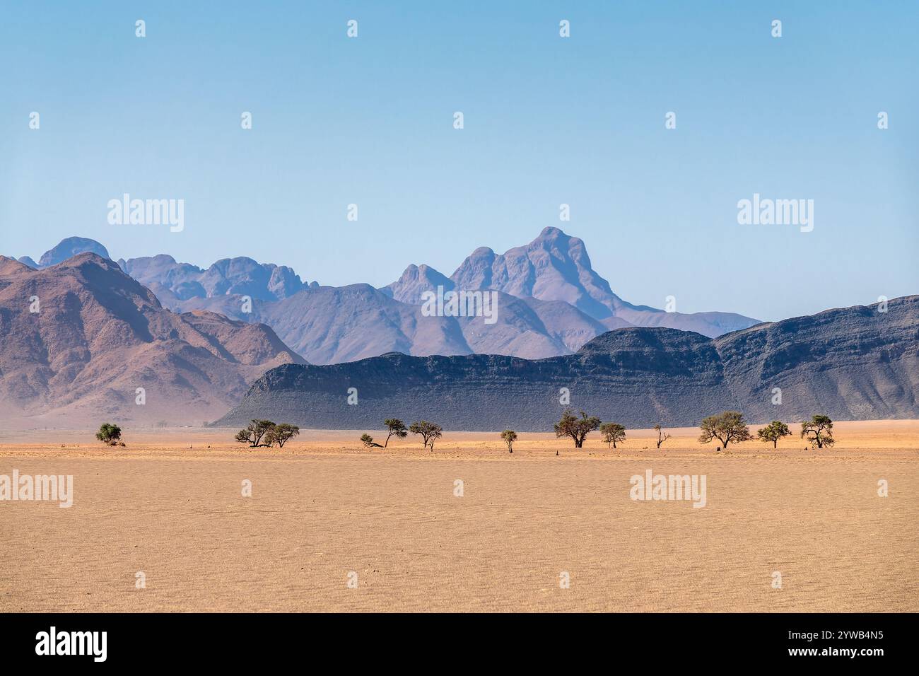 Namibian nature reserve hi-res stock photography and images - Alamy