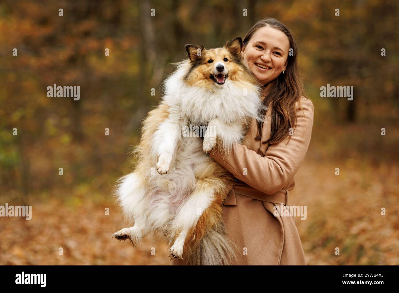 A joyful woman is happily posing with her fluffy collie dog among the ...