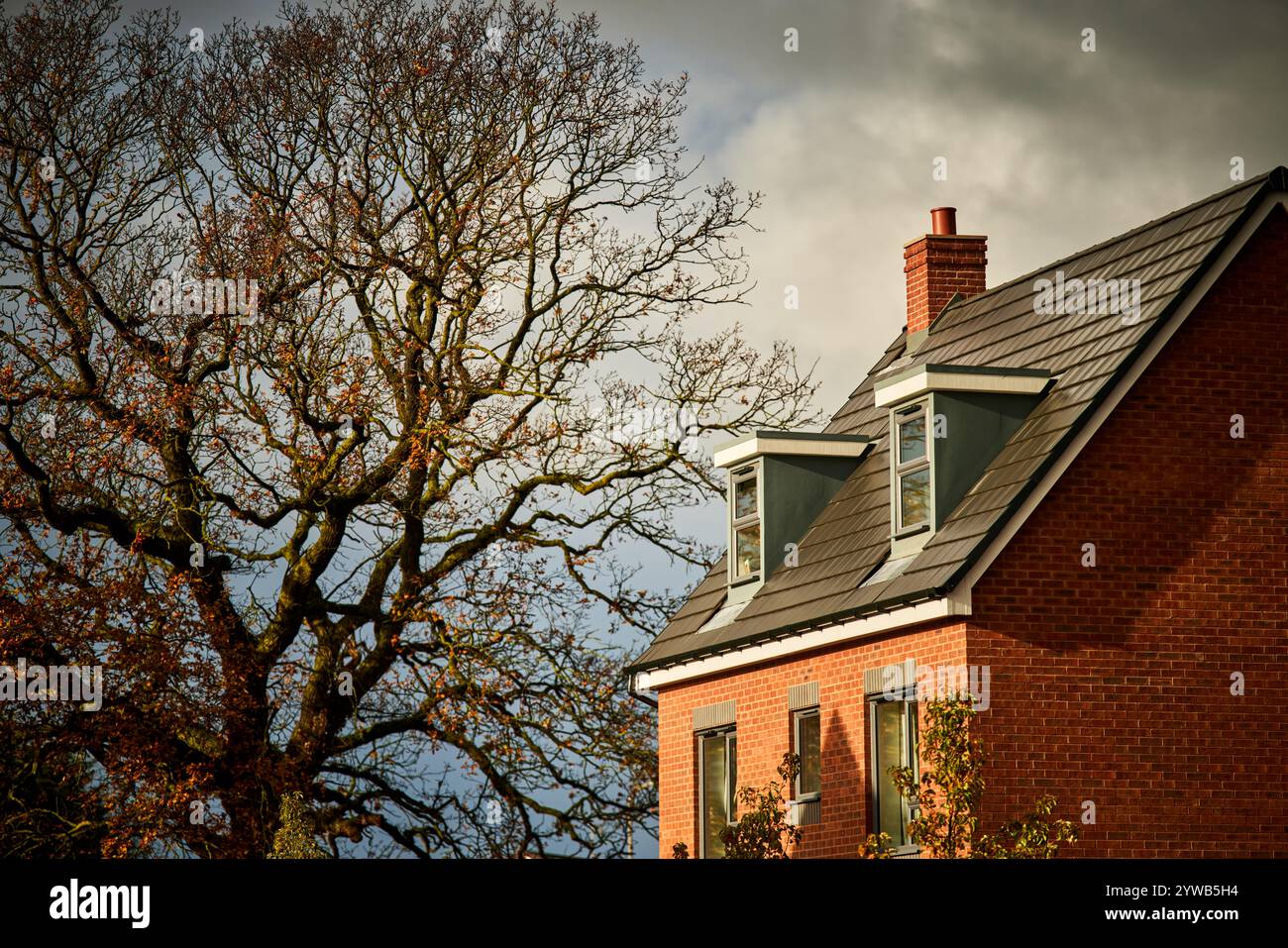 Connor Naismith MP (Labour) visit to David Wilson Homes Sydney Place ...