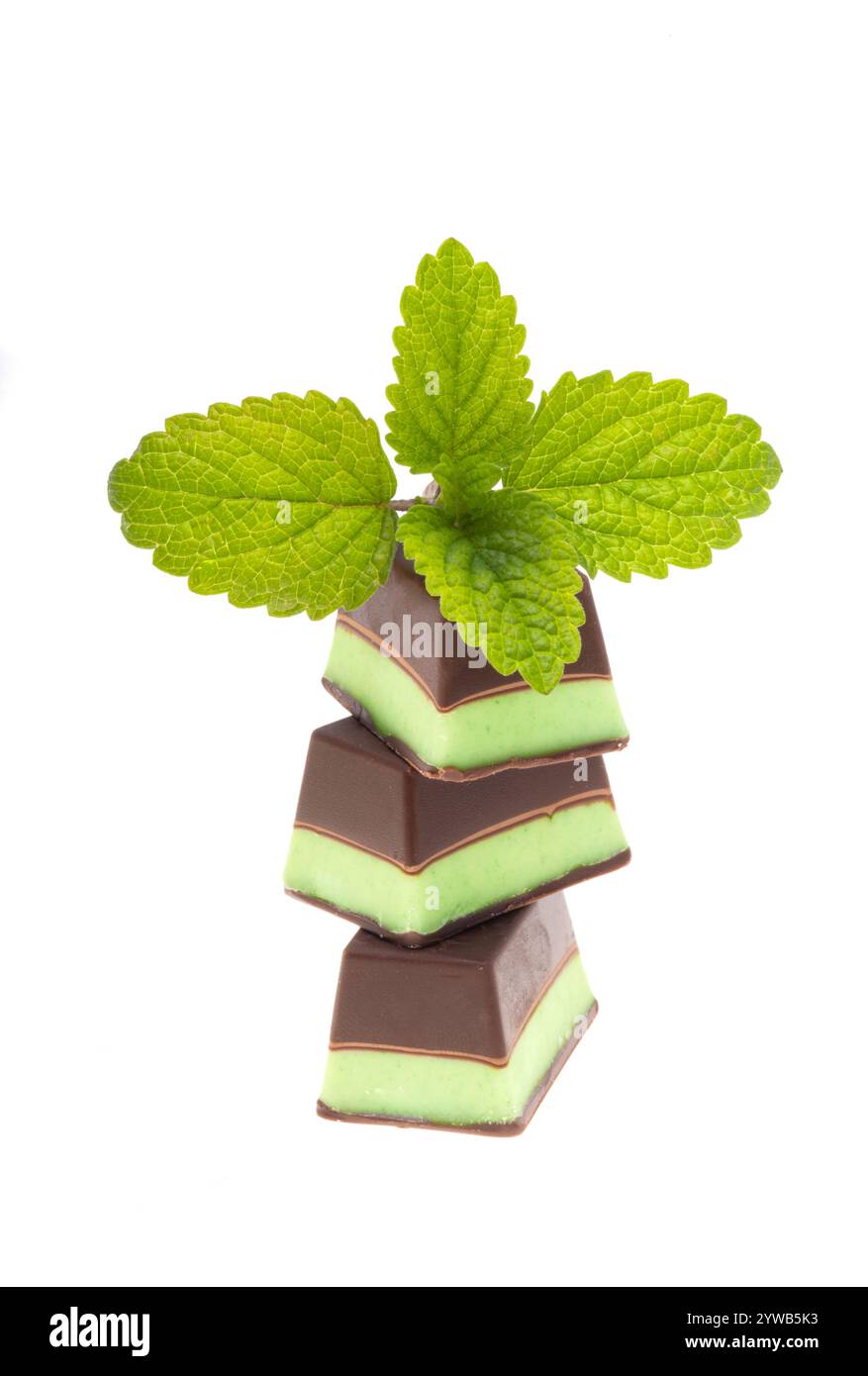 mint chocolate candies isolated on white background Stock Photo - Alamy