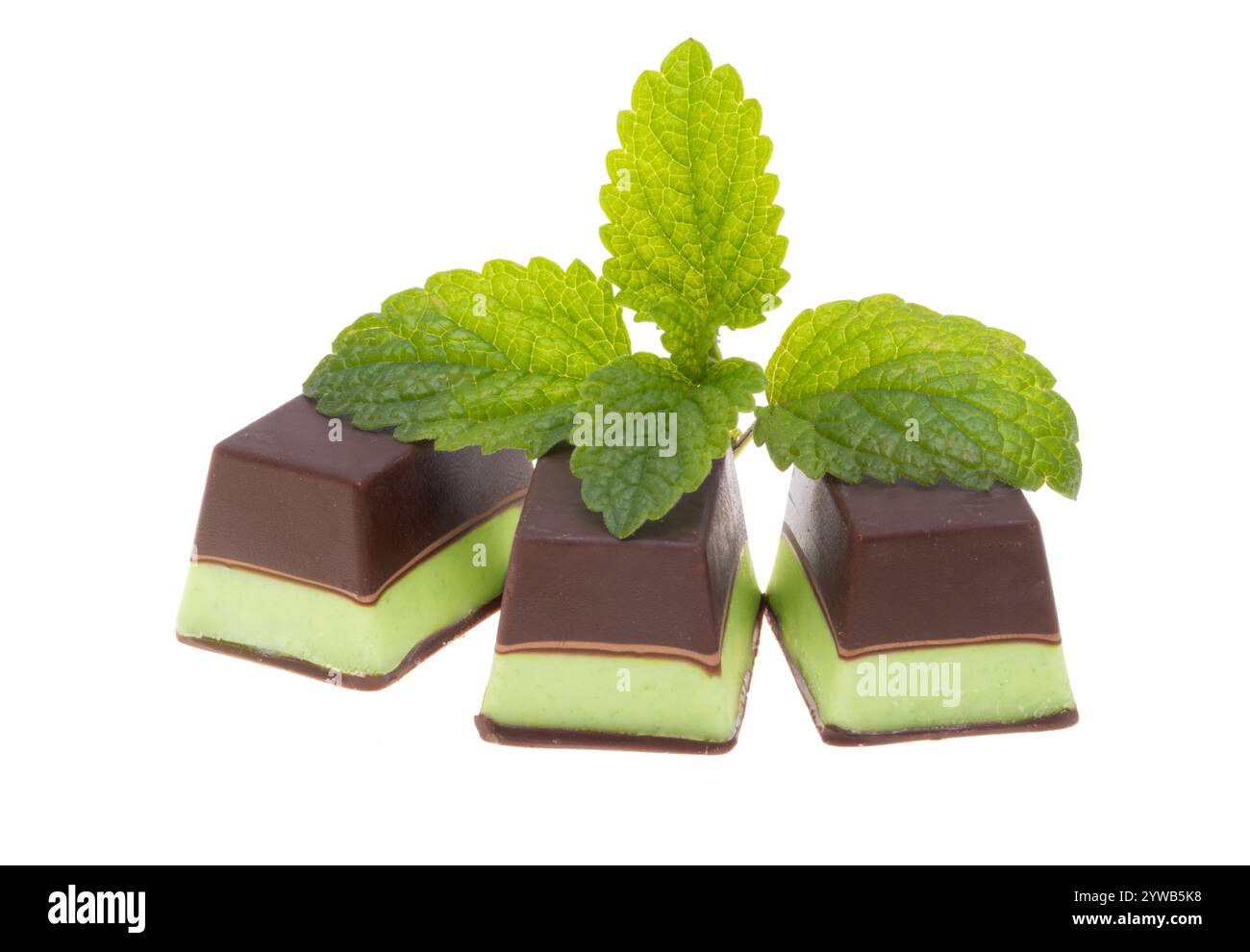 mint chocolate candies isolated on white background Stock Photo - Alamy