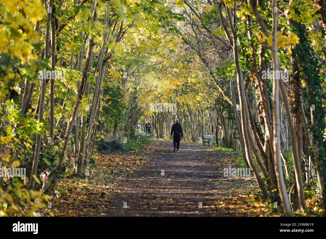 Stretch of Thames path from Hammersmith Bridge to Barnes, London,UK ...