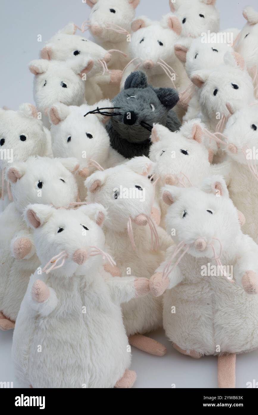 Single black mouse integrated in a group of human-like white mice Stock ...
