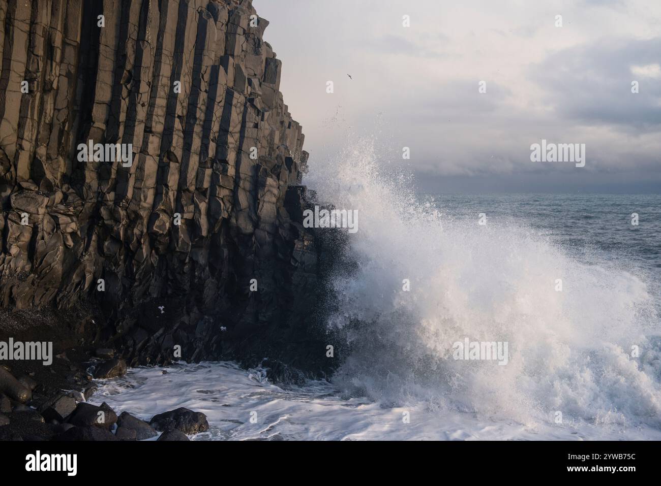 Basaltic lava flow solidified forming columns in the beaches of Vik ...