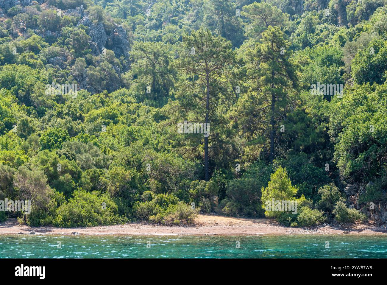 Cennet island hi-res stock photography and images - Alamy