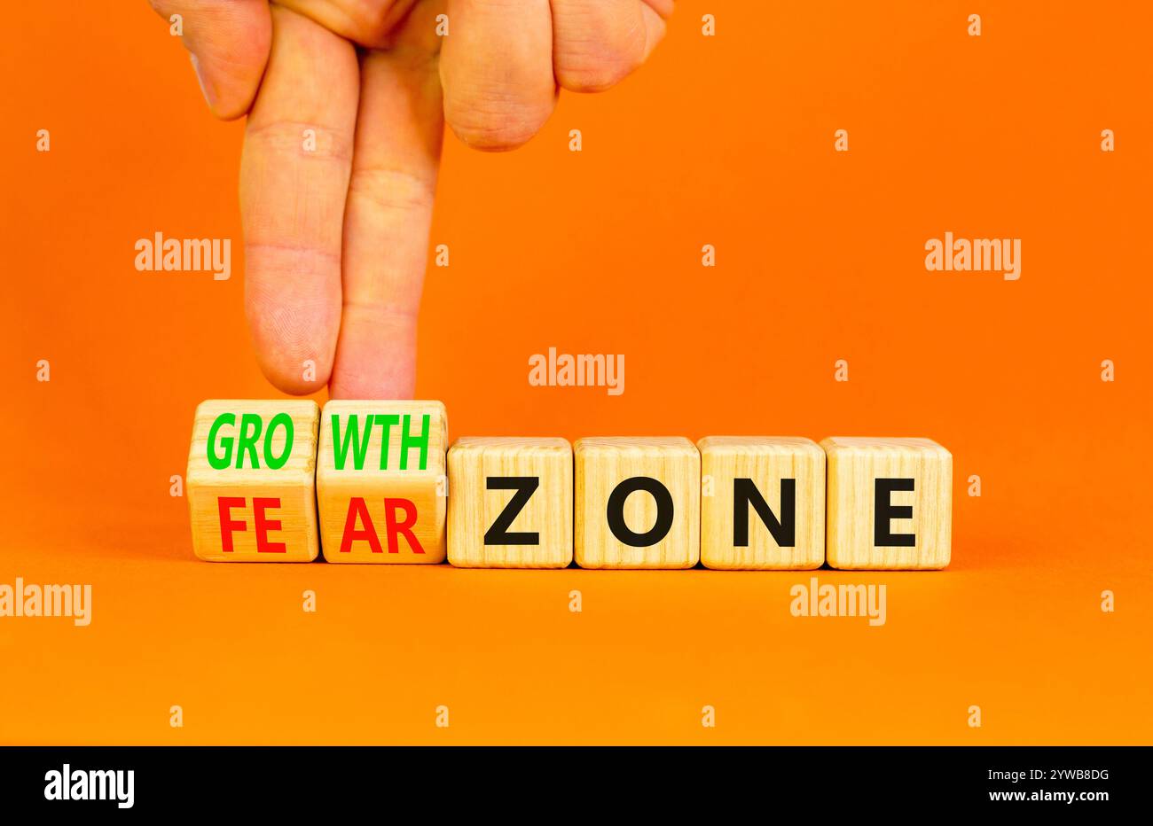 Growth or fear zone symbol. Concept words Growth zone Fear zone on ...
