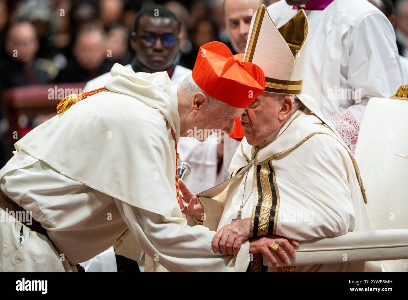 Pope Francis places the Cardinal's hat on the head of the new Cardinal ...
