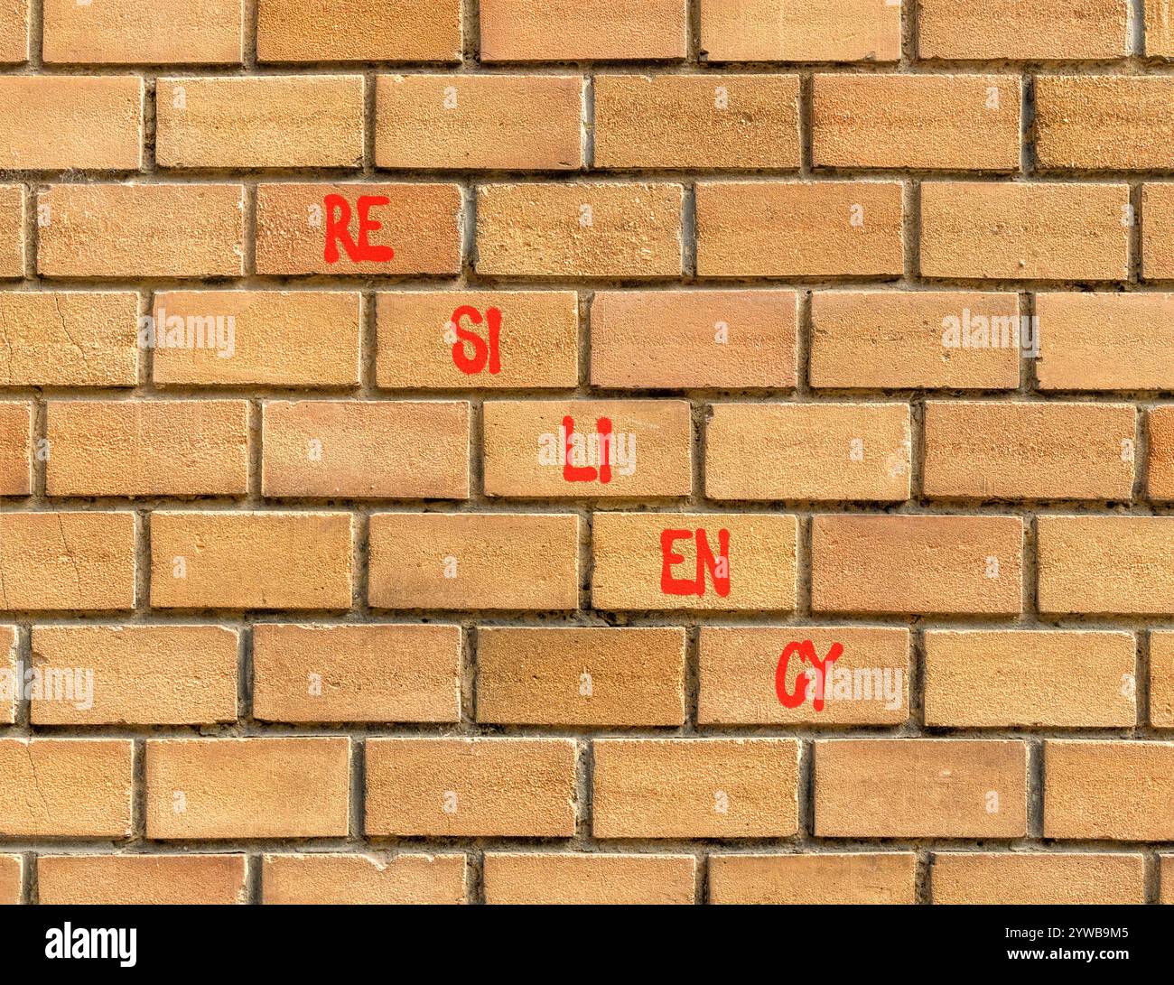 Resiliency symbol. Concept word Resiliency on beautiful brown bricks ...