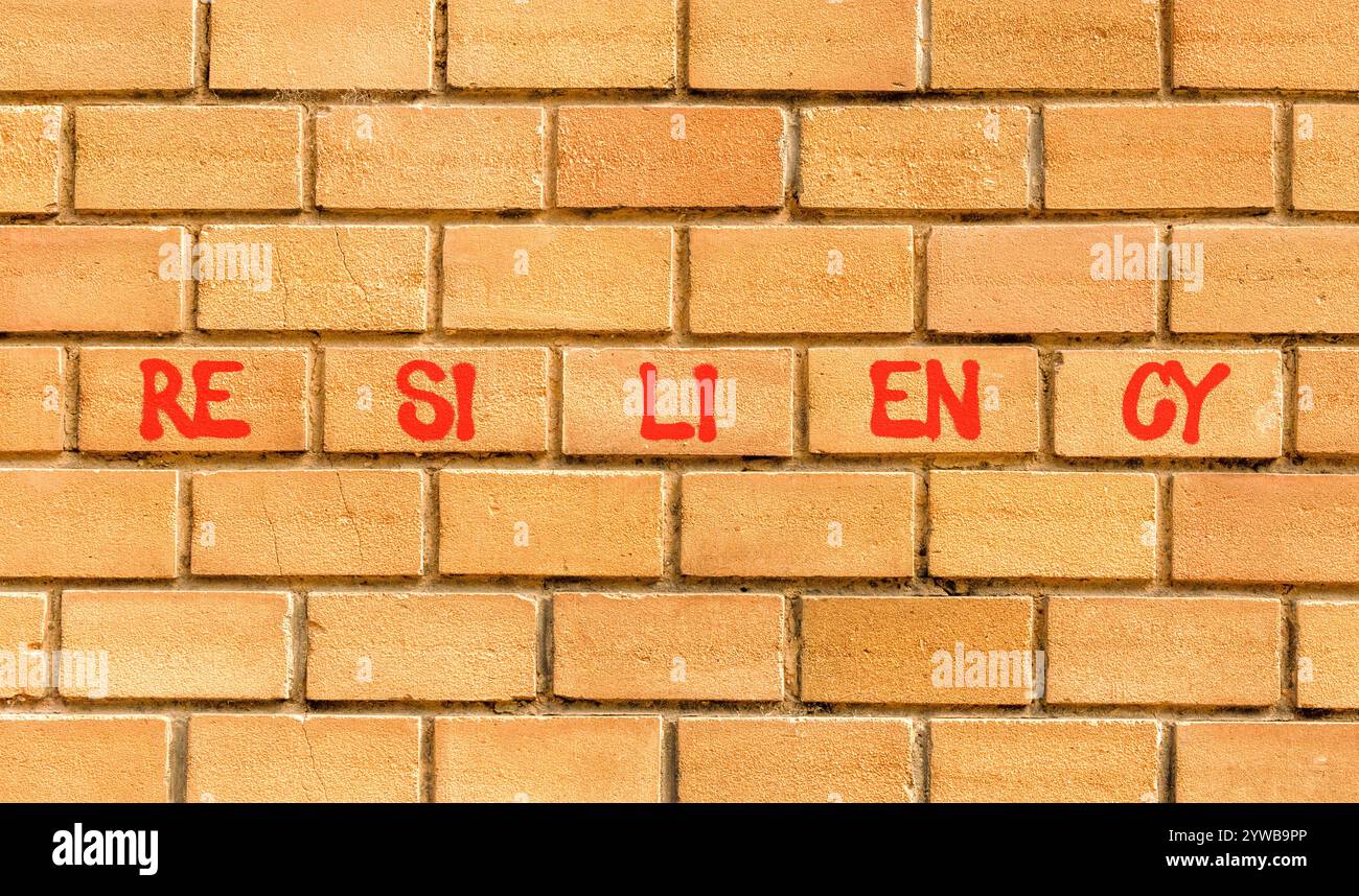 Resiliency symbol. Concept word Resiliency on beautiful brown bricks ...