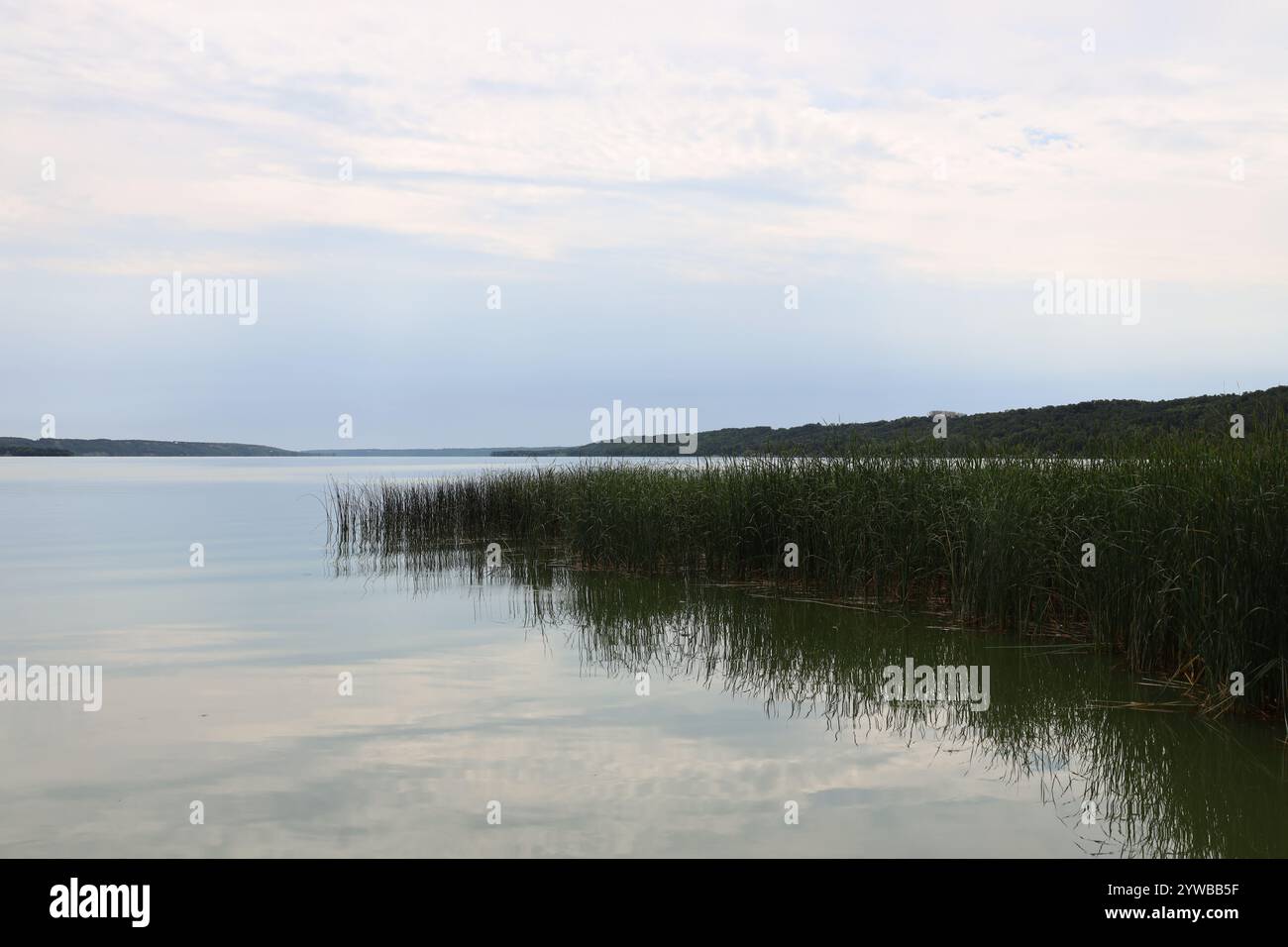 Peaceful forest lake calm waters hi-res stock photography and images ...