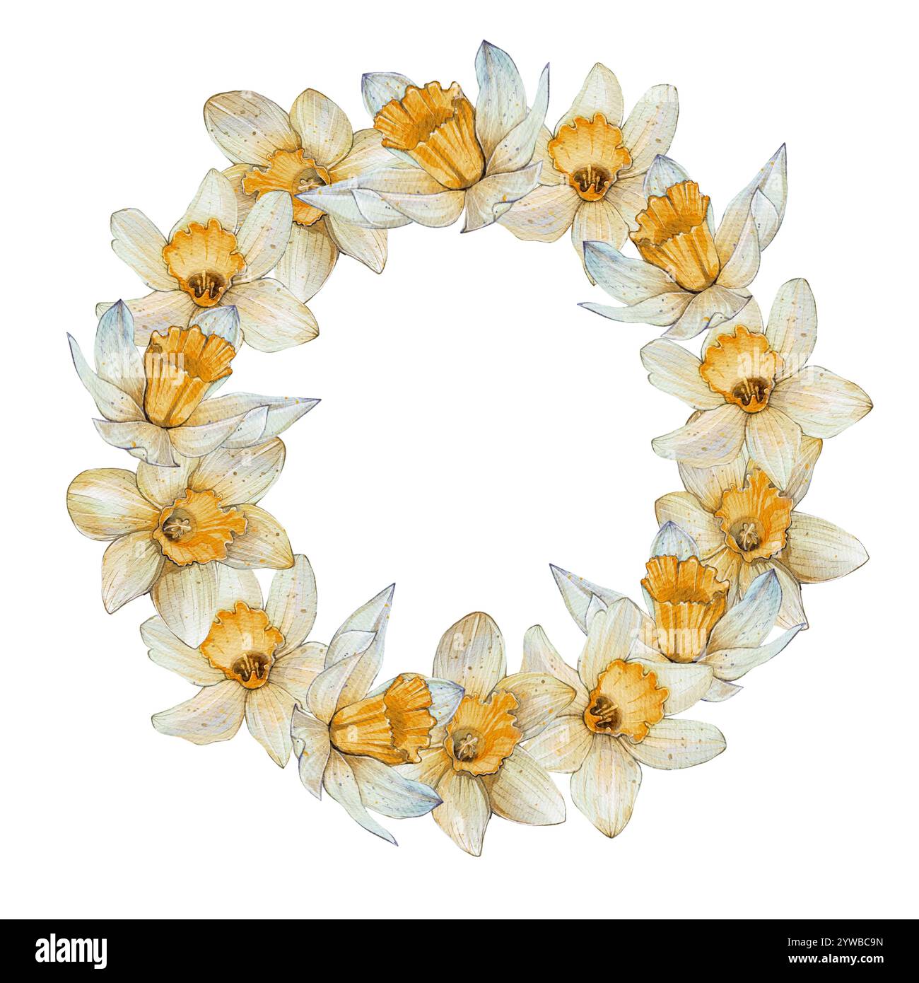 Round wreath, yellow daffodils frame On a white background. Ideal for ...