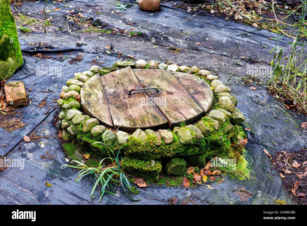 An old well, lined with stone and covered with a cracked wooden cover ...