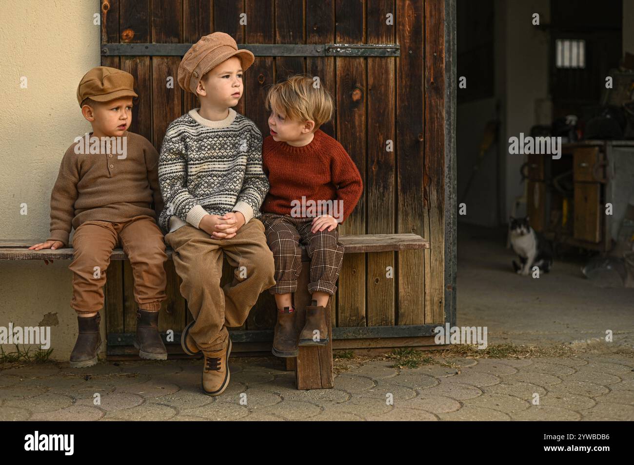 boys from the countryside is watching foe a horses and riders on a farm ...