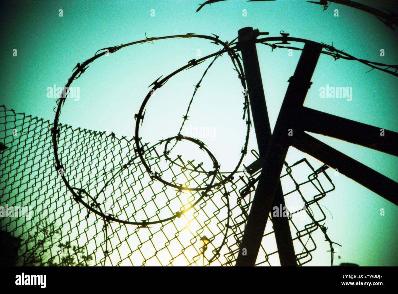 sunlight shinning through a broken fence with barbed wire, Brooklyn ...