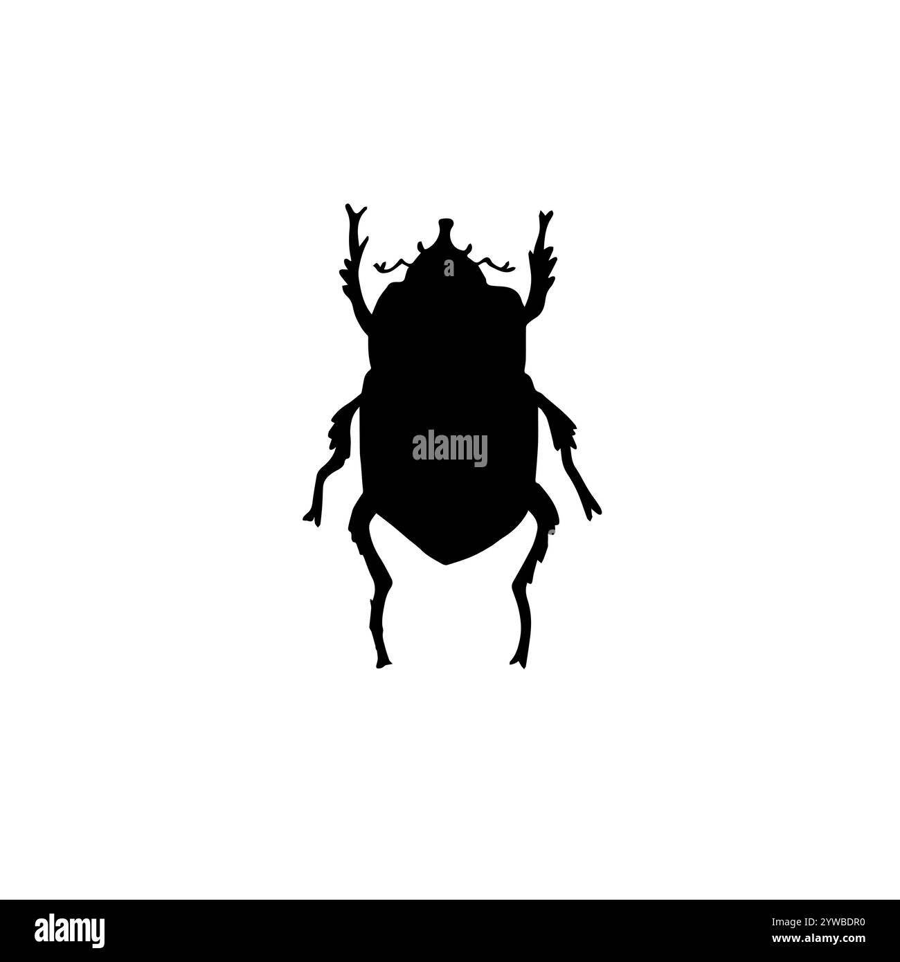 Vector black sketch bug beetle silhouette isolated on white background ...