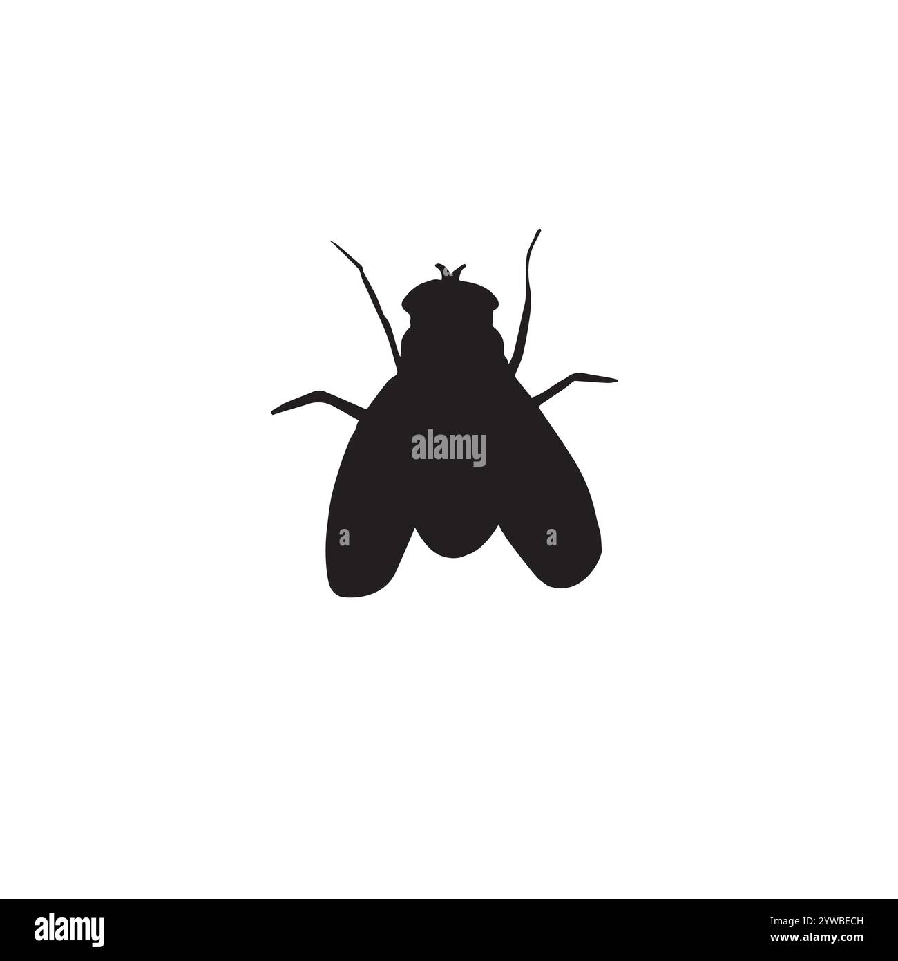 Vector black sketch fly insect silhouette isolated on white background ...