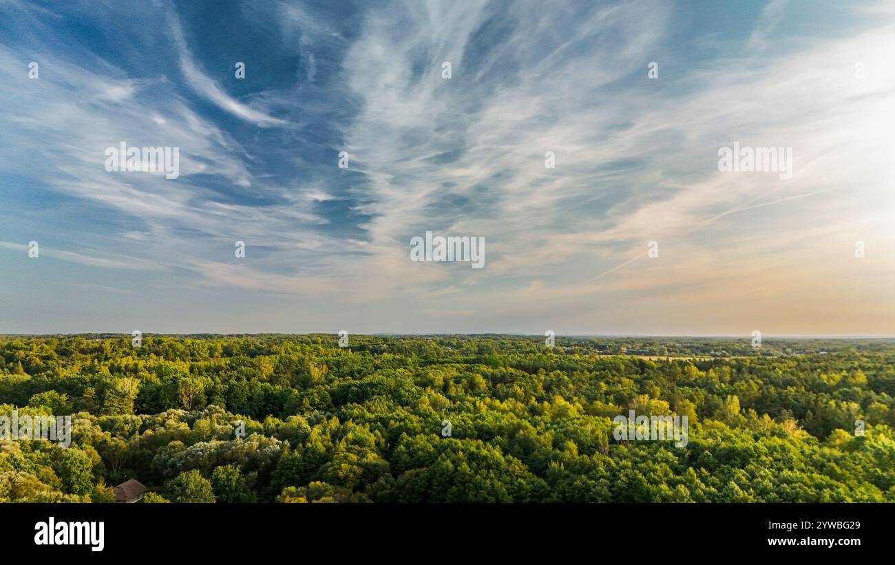 A breathtaking aerial view of a vast forest canopy beneath a dramatic ...
