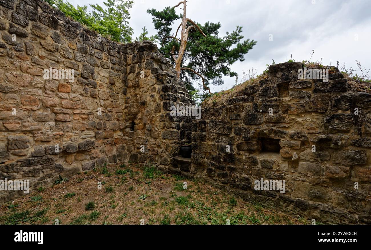 Hrad Valdštejn / Wallenstein Castle Stock Photo - Alamy