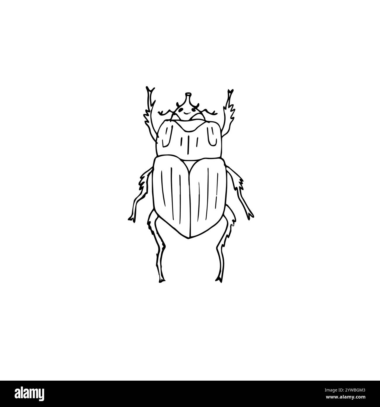 Vector hand drawn doodle sketch bug beetle isolated on white background ...