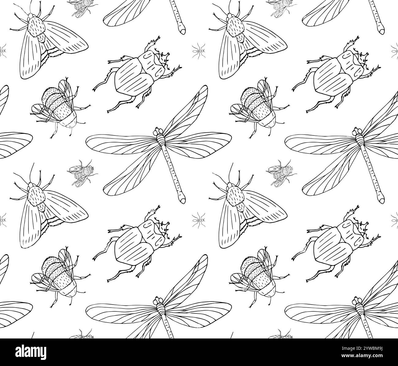 Vector seamless pattern of hand drawn doodle sketch insects isolated on ...