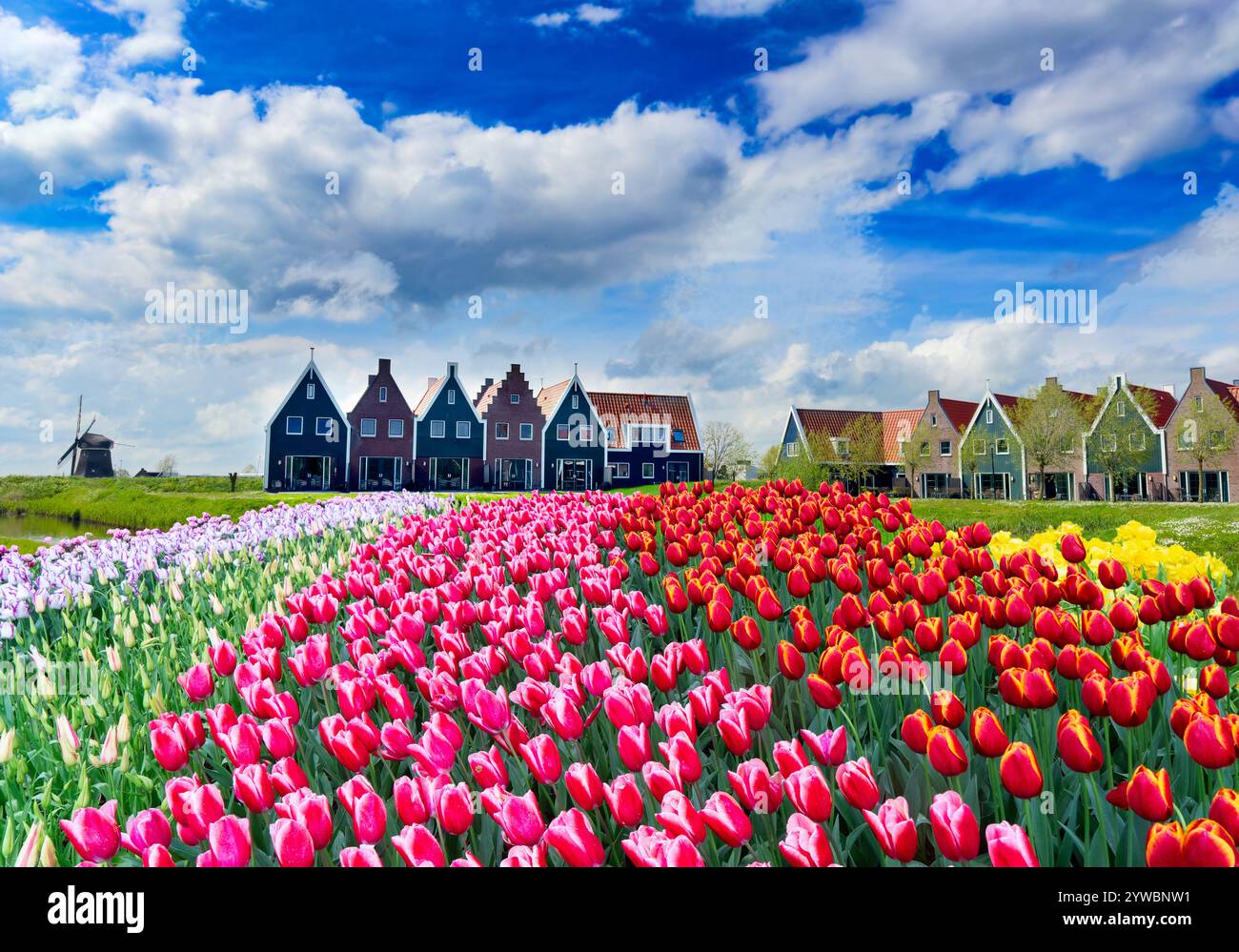 rural dutch country street of small old town Volendam, Netherlands ...