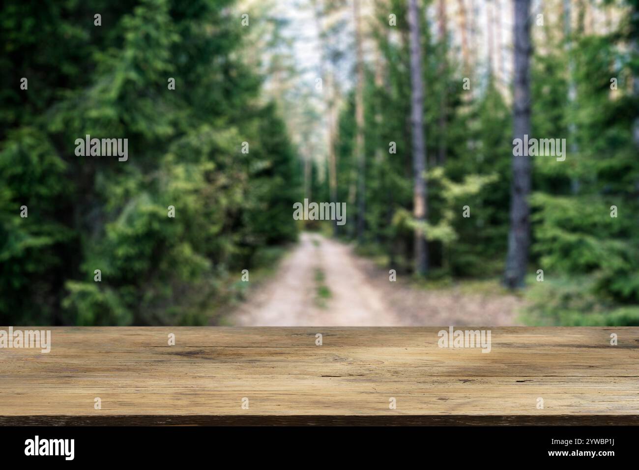 Wooden table with forest and nature background. Product display ...