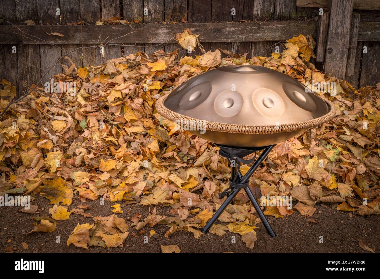 handpan drum on a stand outdoors, a modern, melodic percussion ...