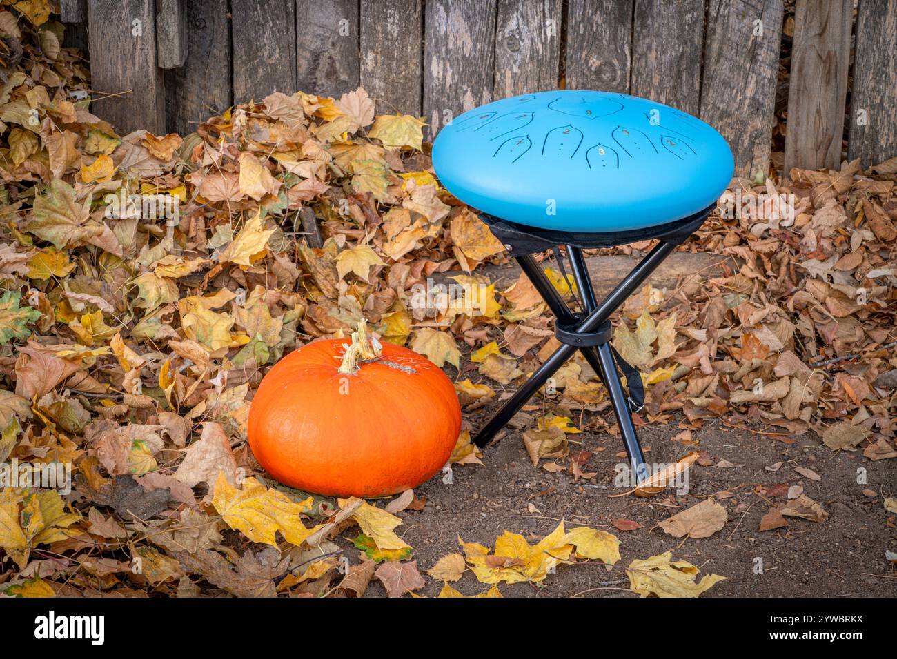 steel tongue drum in backyard with pumpkin and maple leaves, percussion ...