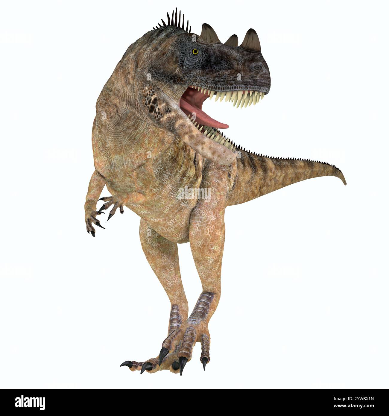 Ceratosaurus was a carnivorous theropod dinosaur that lived in the Jurassic Period of North ...
