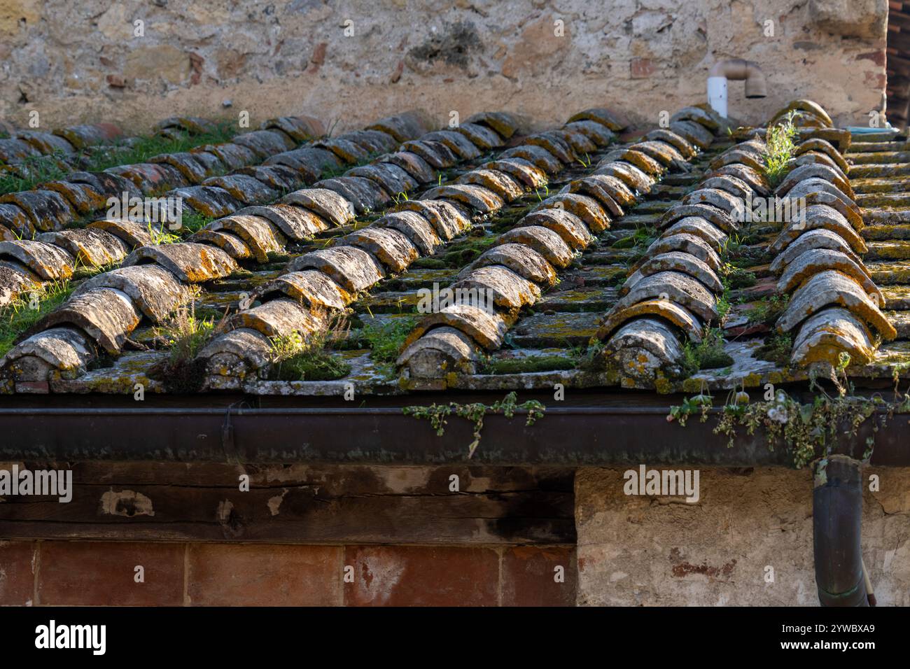 A traditional clay tile roof in the medieval walled town of ...