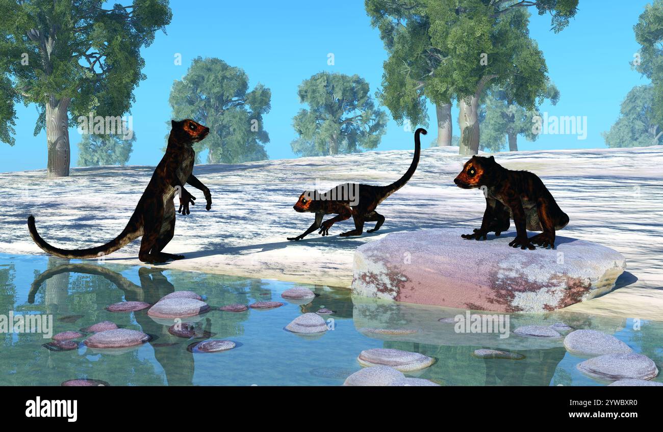 Darwinius was a lemur-like primate that lived in Germany during the ...