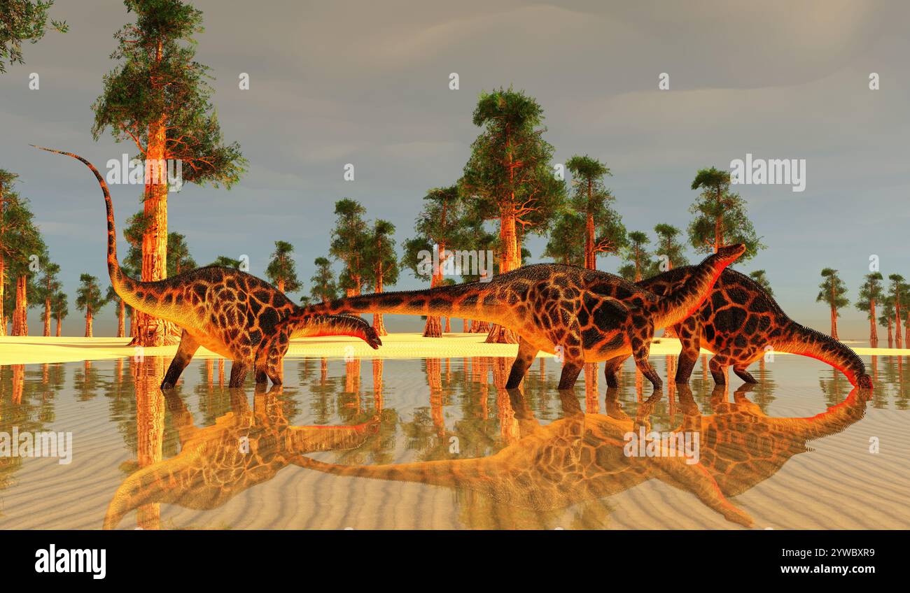 Dicraeosaurus was a sauropod herbivorous dinosaur that lived in the ...