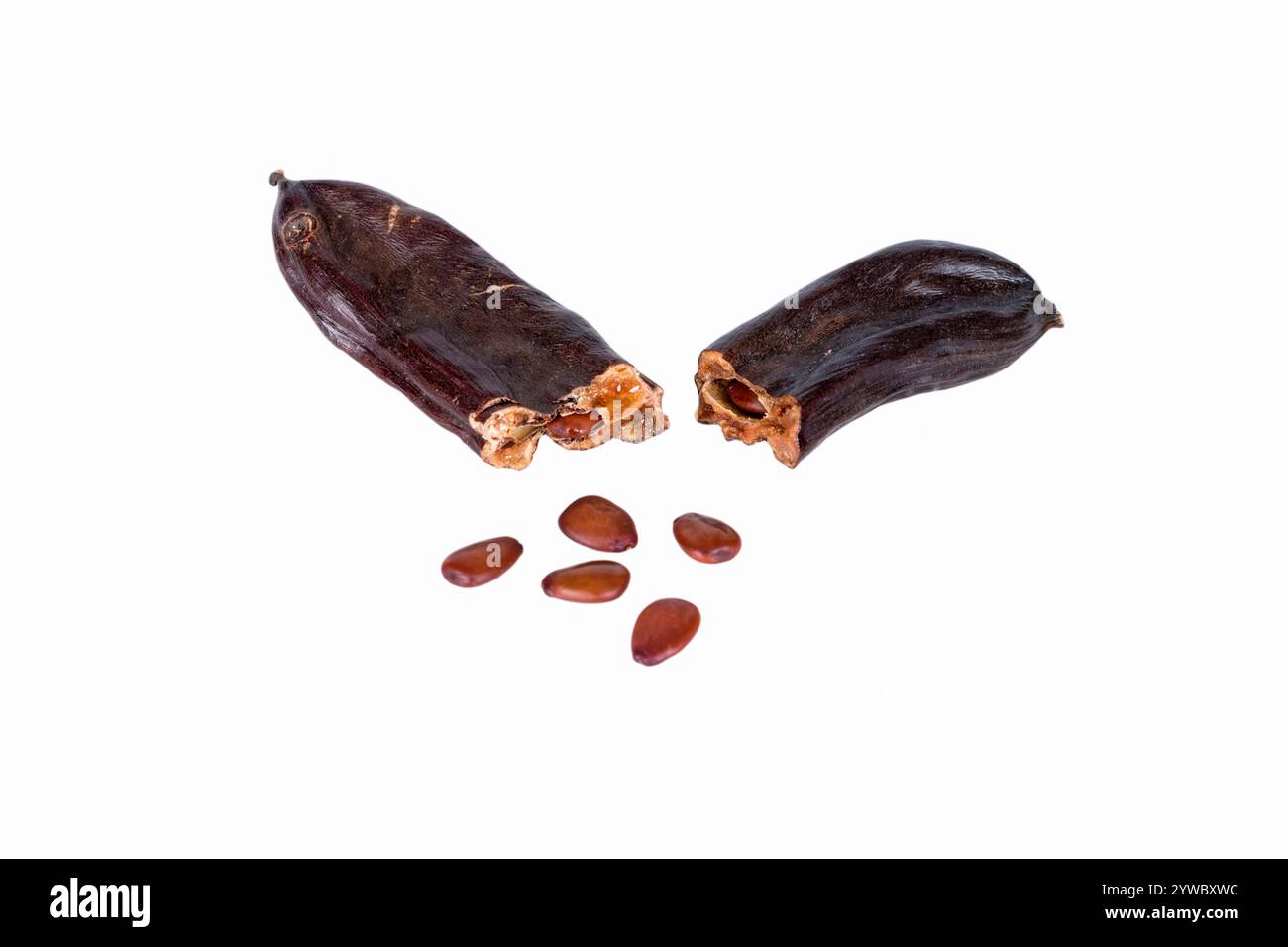 Carob fruit and seeds isolated in white background Stock Photo - Alamy