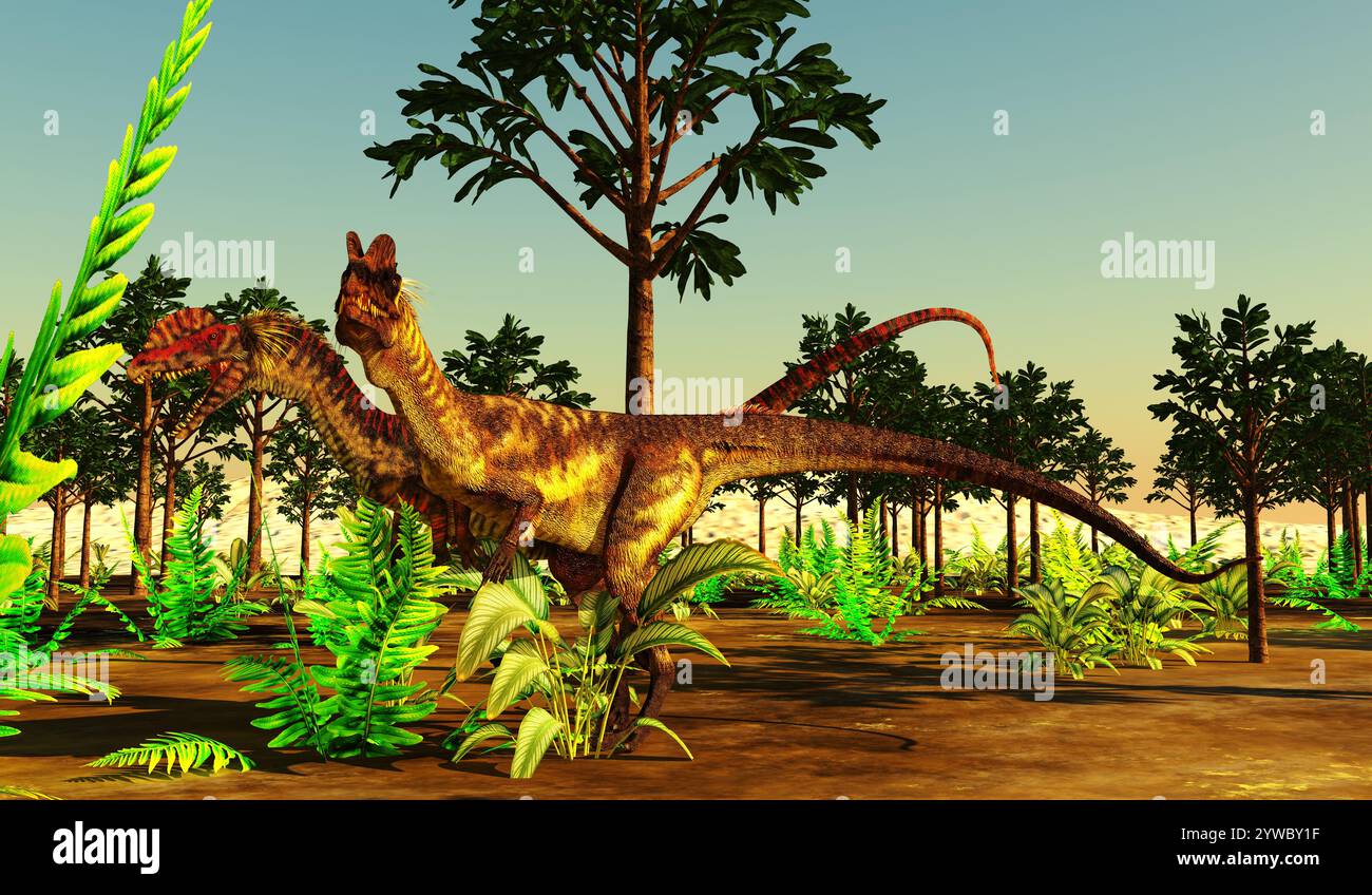 Dilophosaurus carnivorous dinosaurs search for prey among a forest of ...