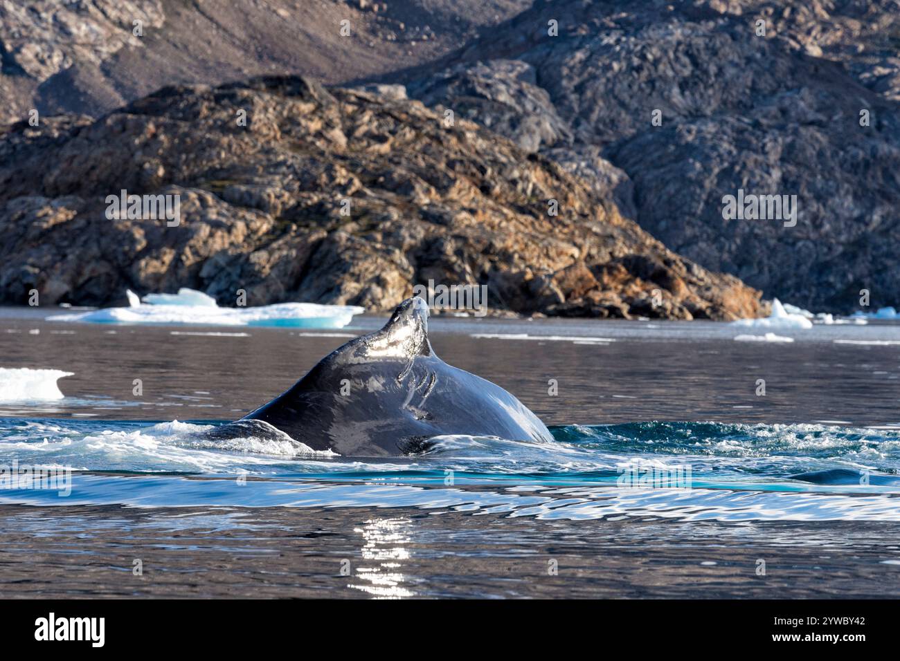 Southeastern greenland hi-res stock photography and images - Alamy