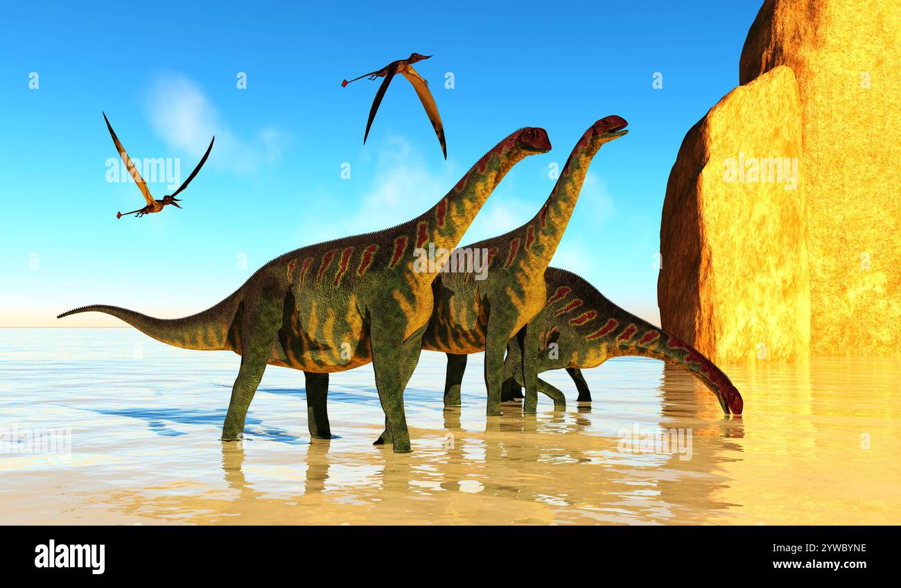 Desert lizard drinking water hi-res stock photography and images - Alamy