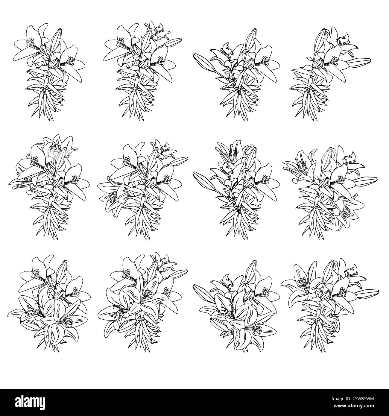 Set of lily bouquets in doodle style. Vector illustration isolated on white background Stock ...