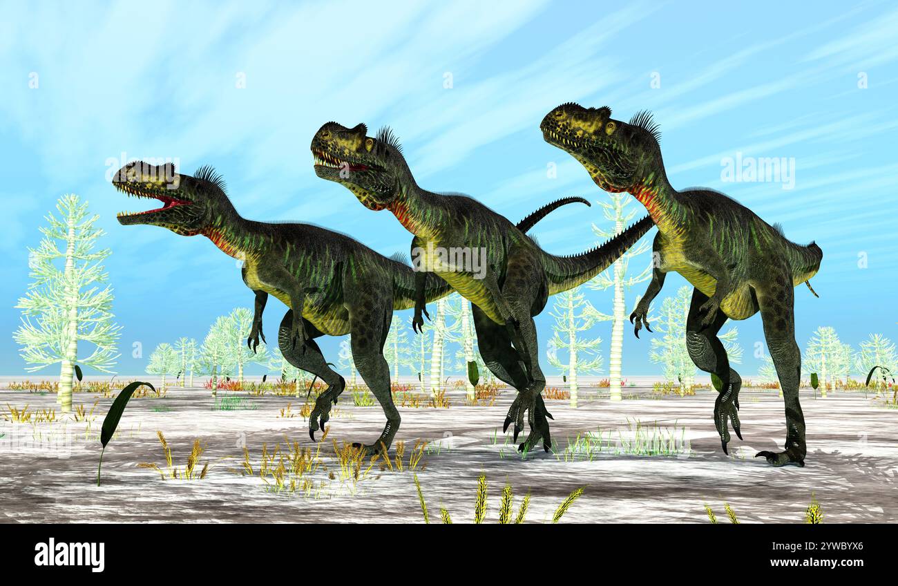 Megalosaurus carnivorous dinosaurs hunt for prey among a forest of Carboniferous trees during ...