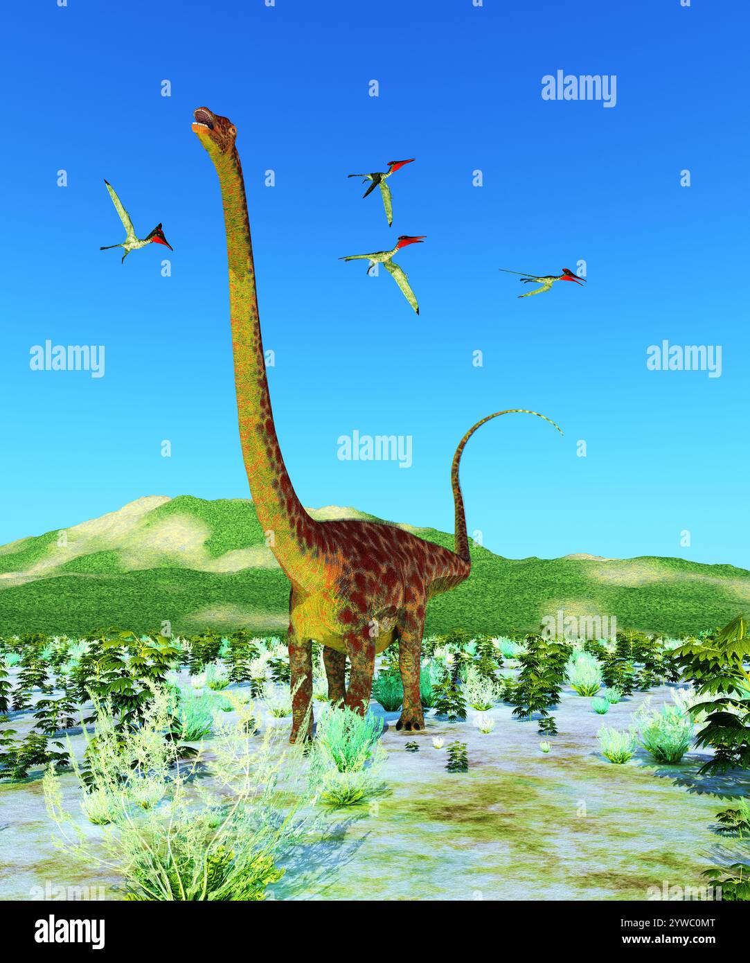 A flock of Pterodactylus Pterosaurs fly over a Diplodocus Titanosaur sauropod dinosaur during ...