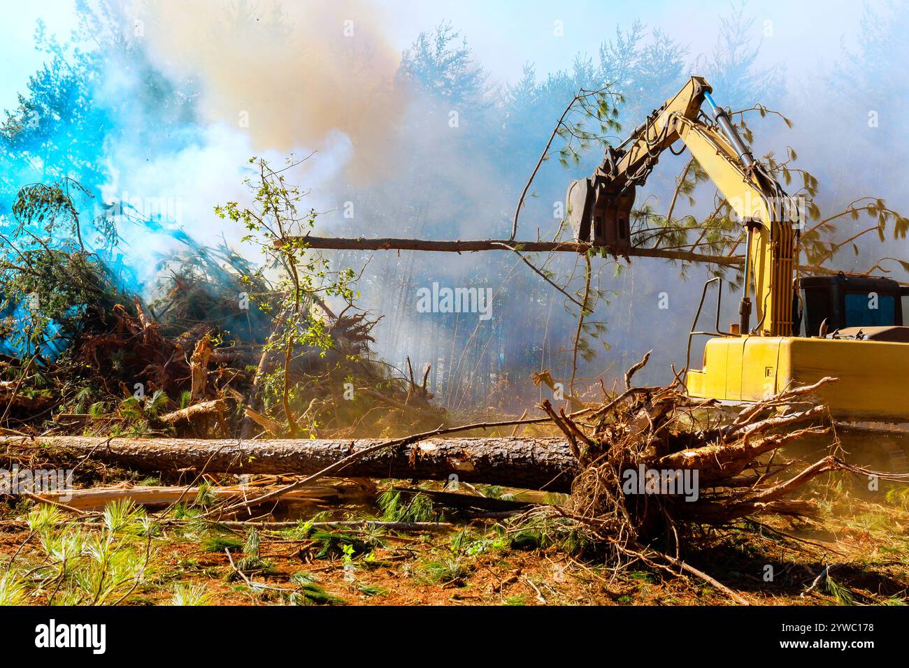 During clearing of land for construction, uprooted trees are burned ...