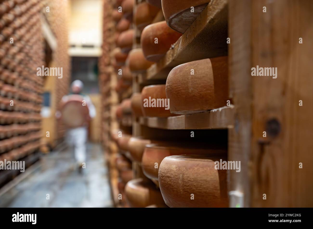 Aging rooms with many shelves in cheese caves, central location for ...