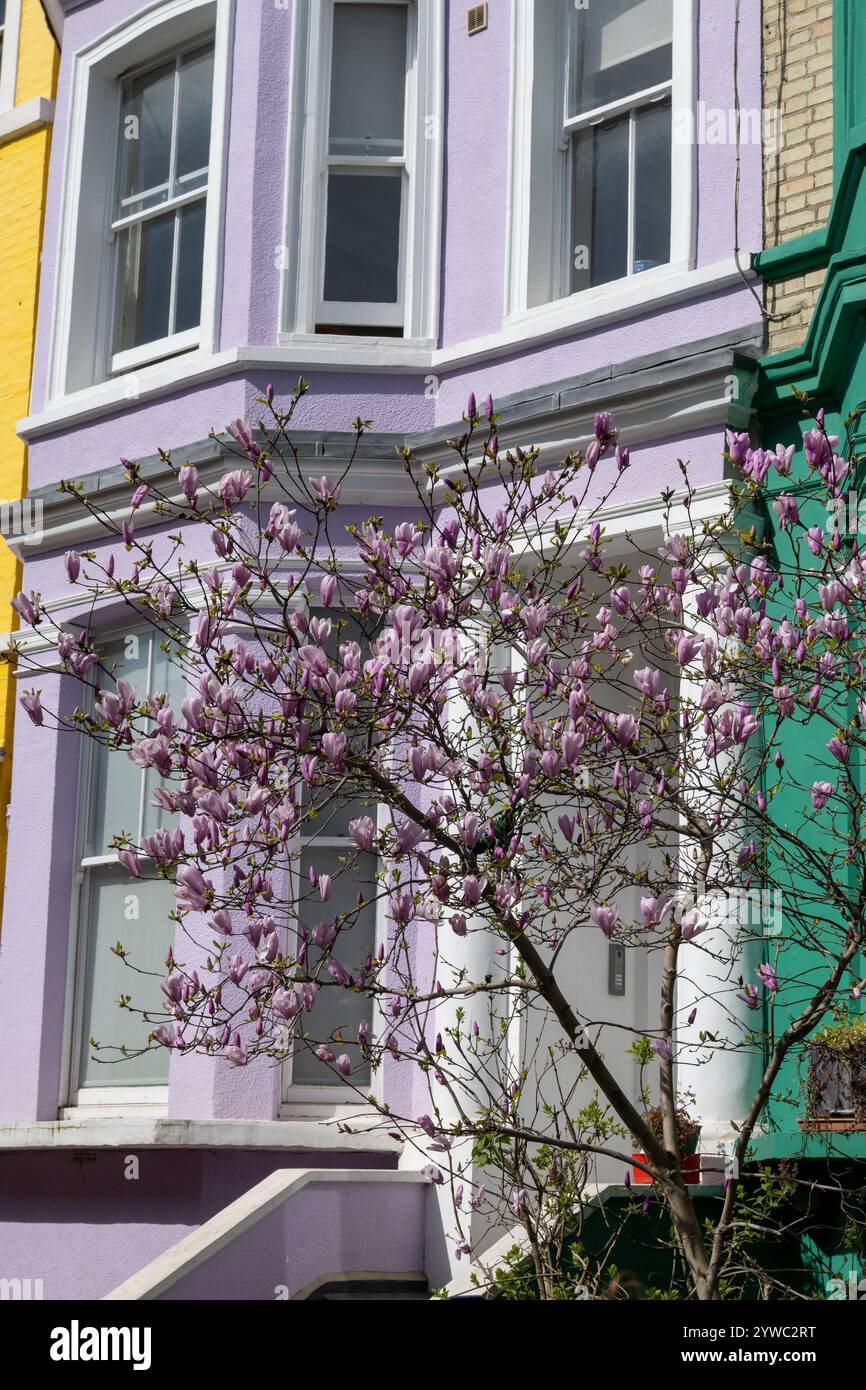 Touristic route on Notting Hill, walking on streets with colourful ...