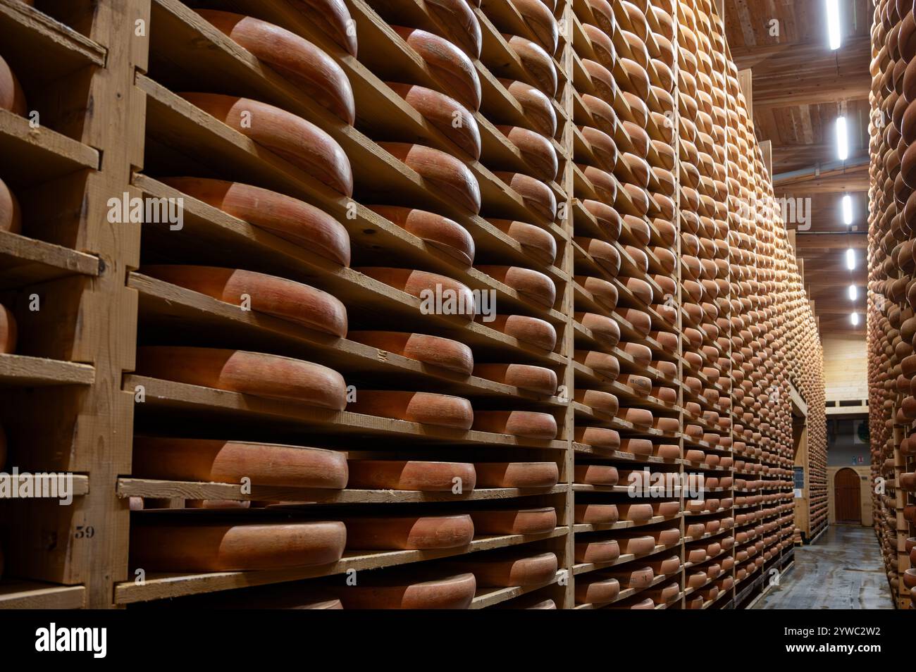 Aging rooms with many shelves in cheese caves, central location for ...